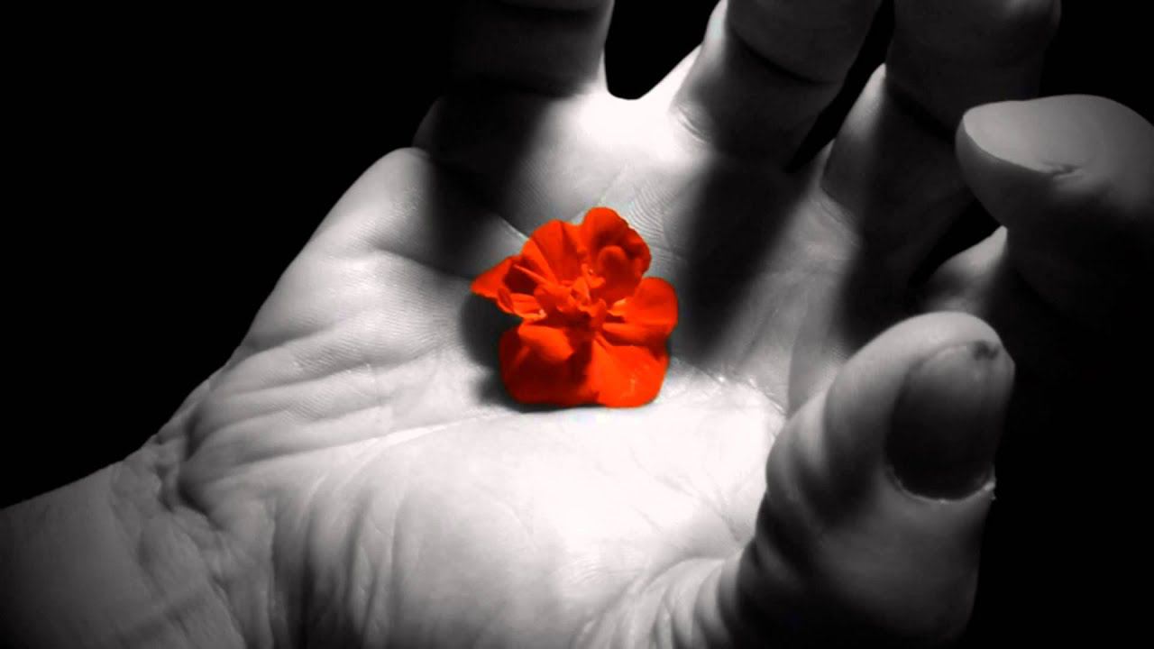 Сатори Актриса