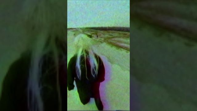 Доминанта на тропе сталкера