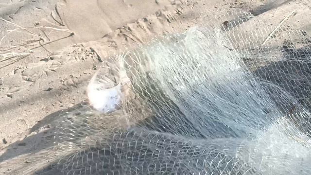 Рыбалка кастинговой сетью.Неплохое открытие сезона.