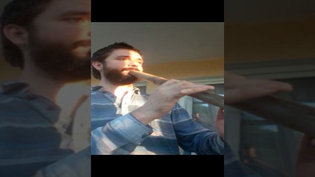 флейта в си #1