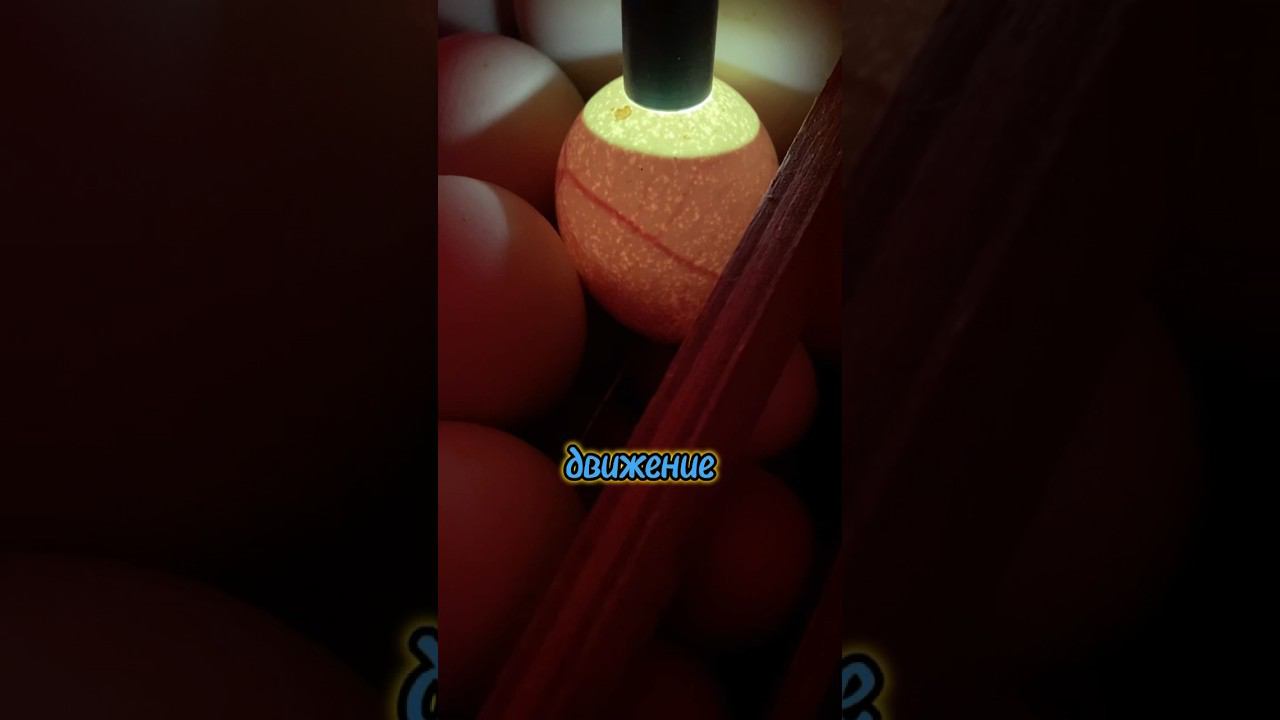 Как и зачем определить неоплод, а надо ли? 7й день инкубации #домуреки #жизньвдеревне  #инкубацияяиц