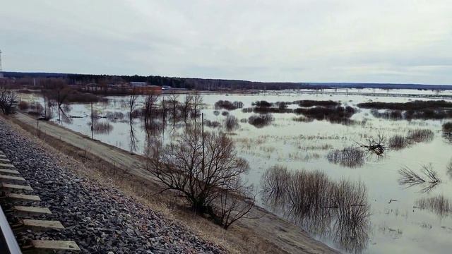 Как сороконожку за лекарем посылали