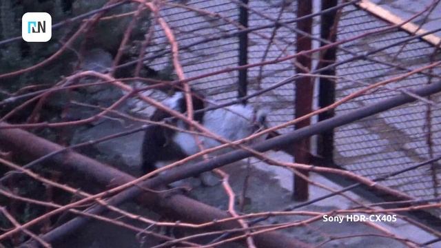 Тест камеры Sony HDR-CX405 при слабом освещении