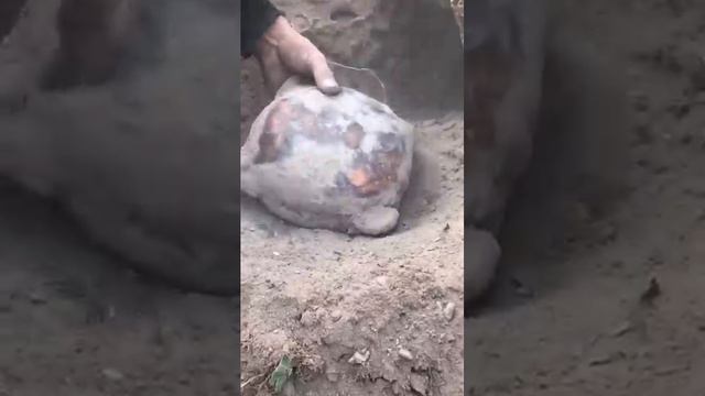 Самая странная банка с золотом Охотник за сокровищами #охотазасокровищами #поискзолота #сокровище