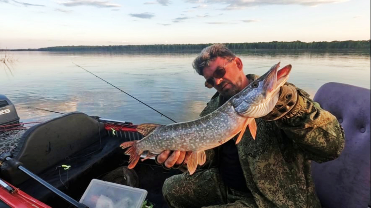 КЛЕВЫЙ ДЕНЬ. Рыбалка на Оби ( Сузун )  31 июля 2023г. Вот и остров заработал !