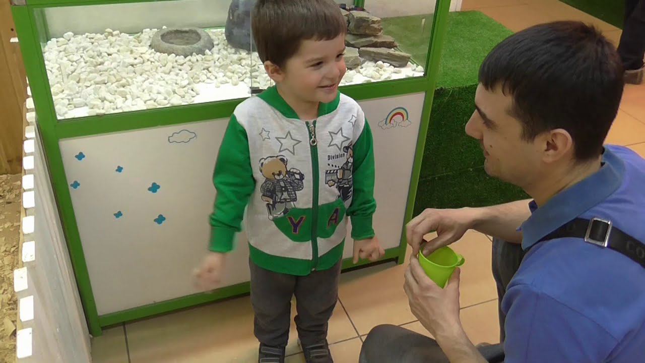 #5 Воспоминания. Зоопарк "Лямурчик". ТРК Горки. Челябинск 2019.