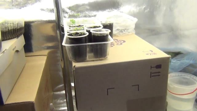 Все видео_Стеллаж для рассады часть 4.mp4