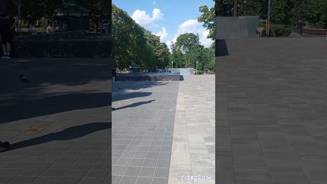 Утки в Орловском фонтане