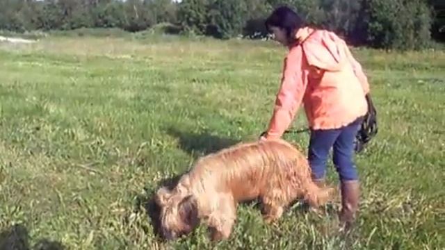 Monika - tracking 11.07.10