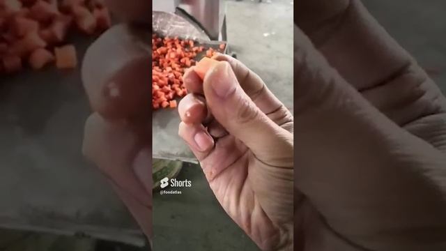 Овощерезка TL 330 Foodatlas _ horeca оборудование для ресторанов и кафе