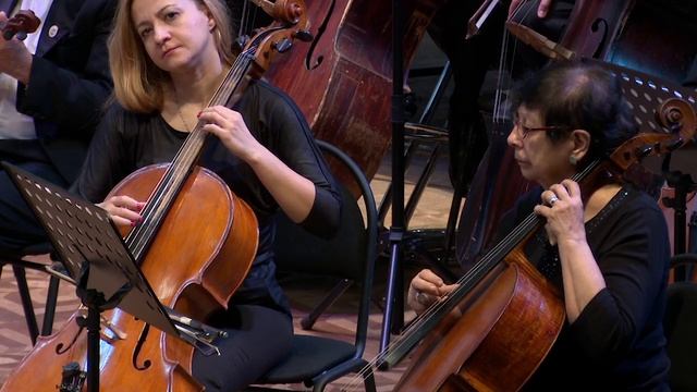 СКАЗКА РИКИ ТИКИ ТАВИ 2018 год