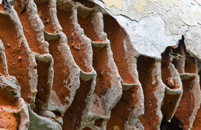 БЫХОВСКИЙ ВНУТРИ.mp4