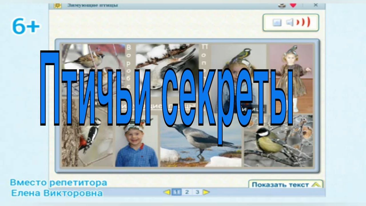 Птичьи секреты