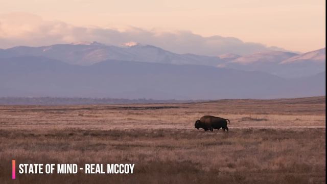 Drum & Bass Mix - September 2023