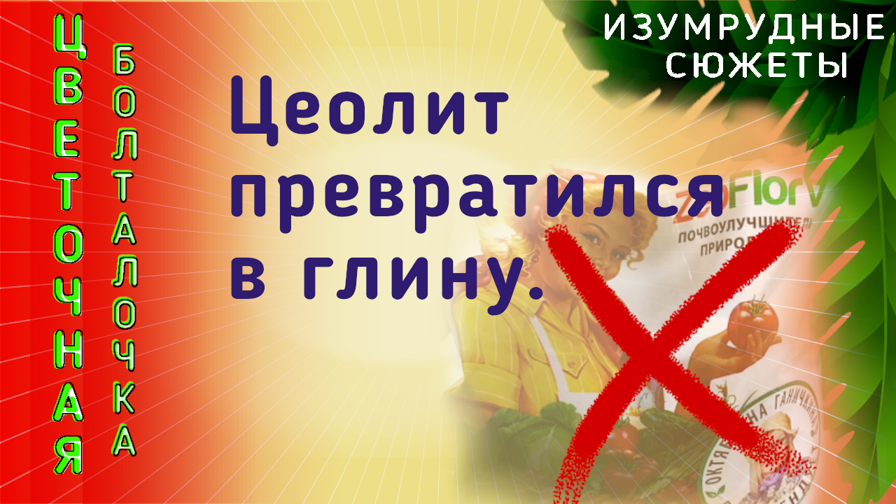 Цеолит превратился в глину.Грунт стал монолитом. Корни суккулентов сгнили.