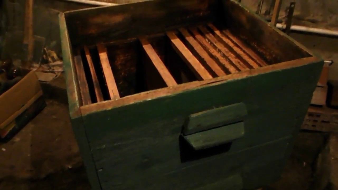 Пчеловодство.  Улей Дадан.( Beekeeping. Beehive Dadan )