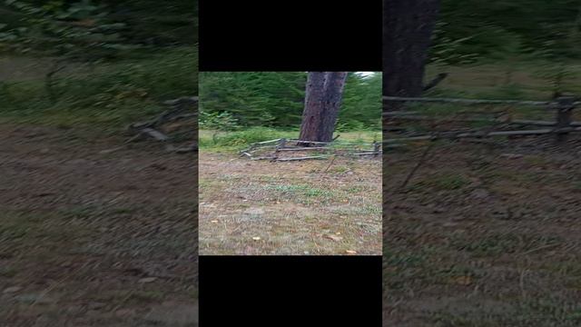 22 скворечник и забор