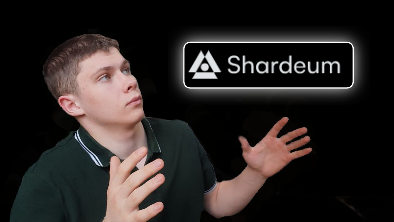 Shardeum ОТ и ДО! Анализ Shardeum