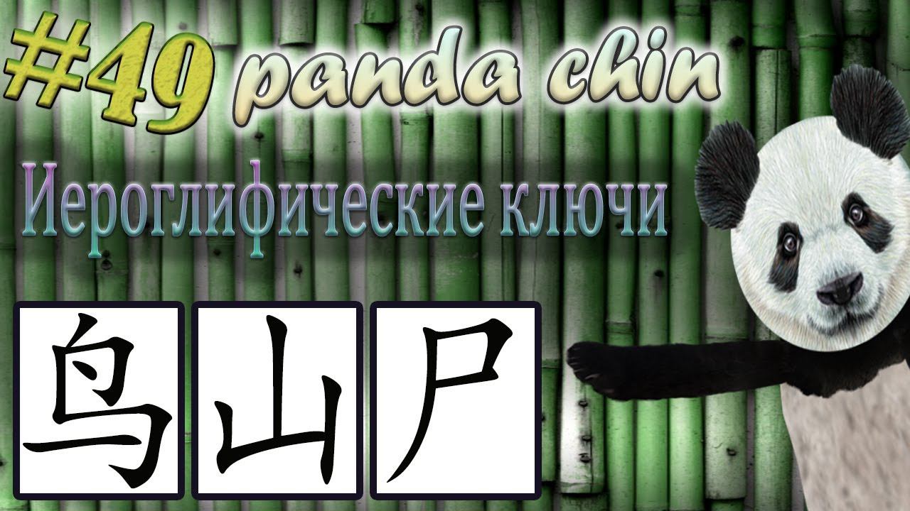 Урок 49. Ключи китайских иероглифов: 鸟 (длиннохвостая птица), 山 (гора) и 尸 (труп)