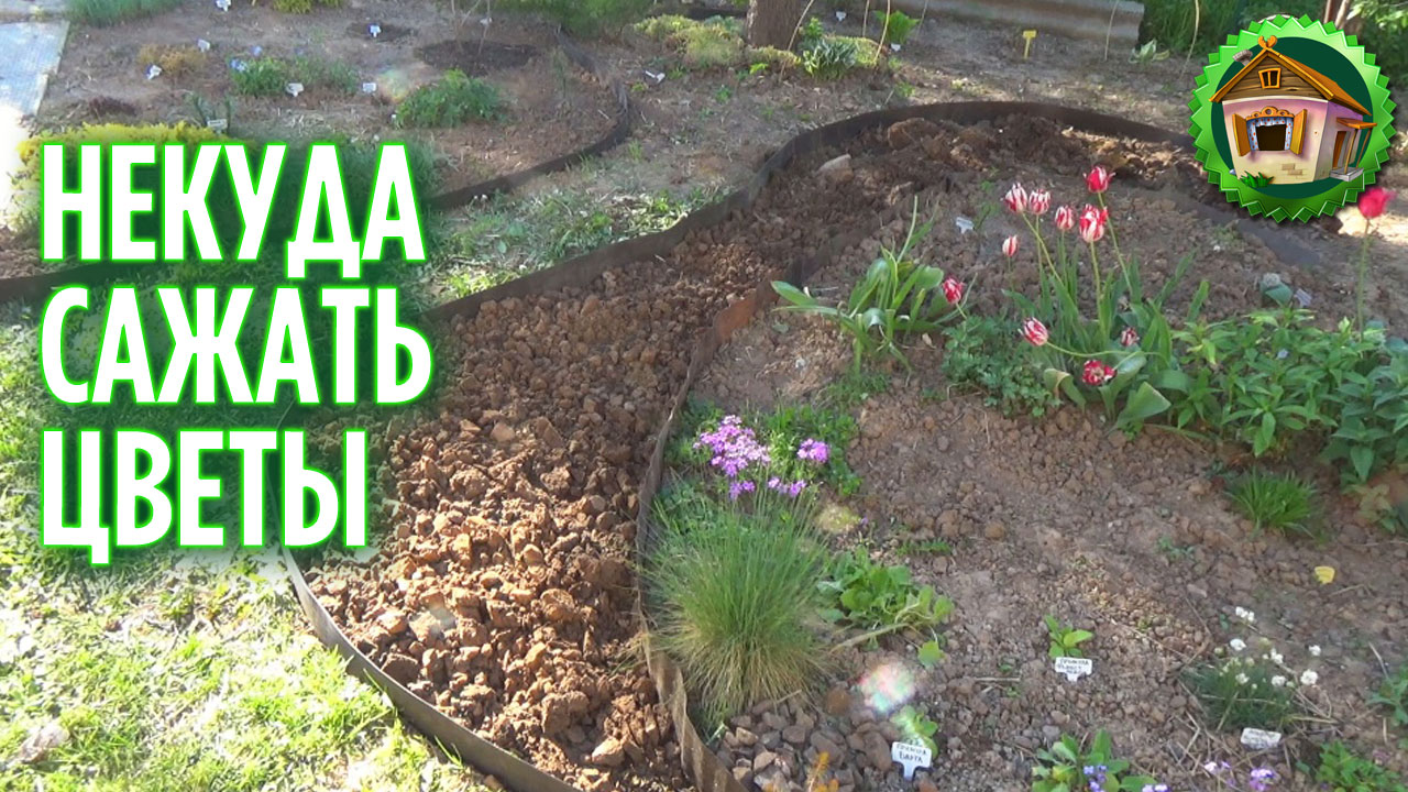 Переделываю цветники в саду. 283 серия