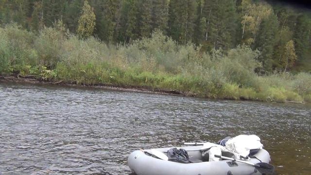 16 Серия Ловля Рыбы Ленок Удочка Поплавок Тайга Алтайская Балда Перекат Федоровича река Сухой Пит