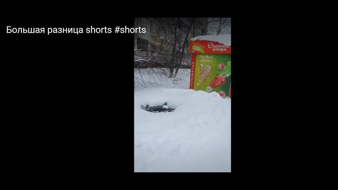 Большая разница shorts #shorts