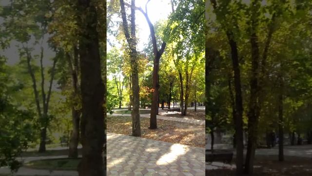 Продажа жилья в центре Ростова-на-Дону в новом доме и с видом на парк!