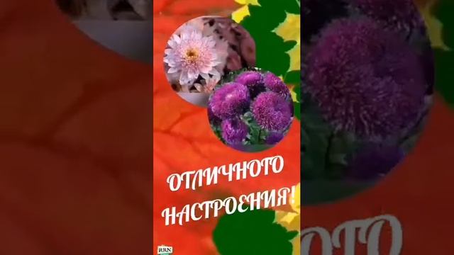 Великолепия осени!