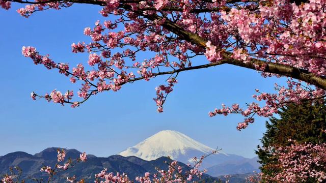 импровизация Сякухати и минор