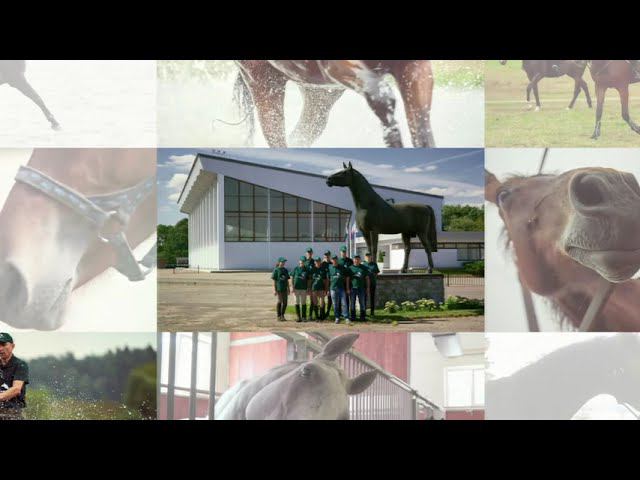 Чемпионат русских троек «Крылатое сердце России» 2022 г. Часть 1