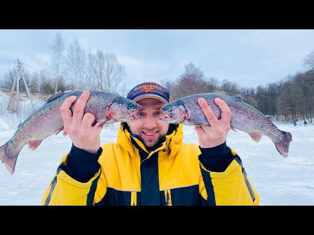 Подводный мир форели подводная съёмка.