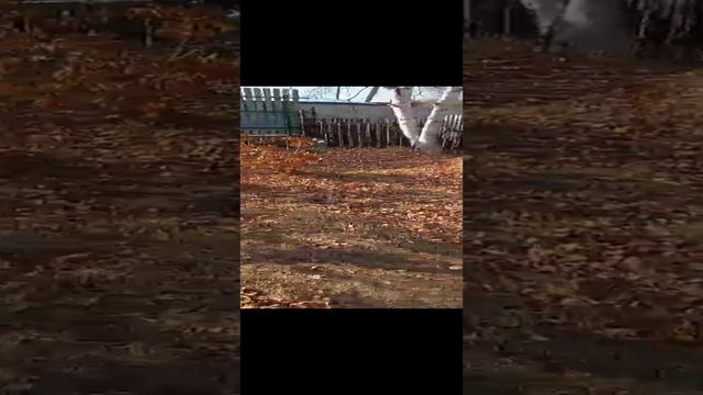 Видеотзыв на теплицу и штакетник Сота: Лариса Романенко (Чита)