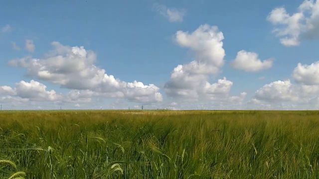 любви обмен в природе