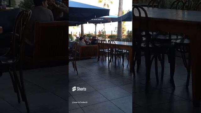 Кипр, Лимасол, кафе Неро, Caffe Nero , новогодняя ёлка, новый год, Рождество