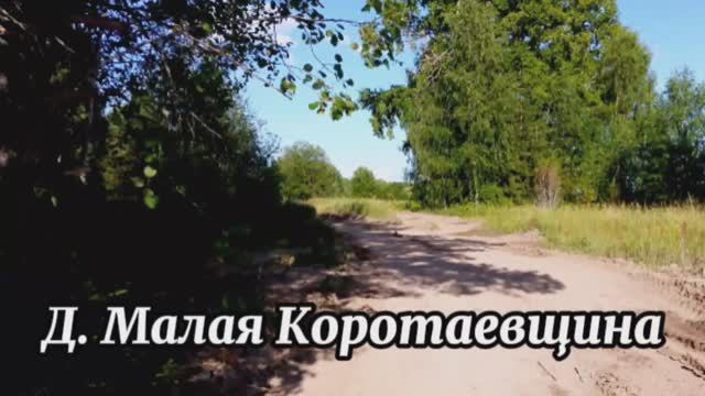 Деревня Малая Коротаевщина.mp4