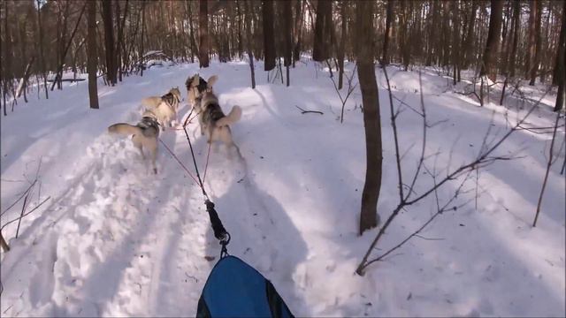 Еще один солнечный рабочий день...