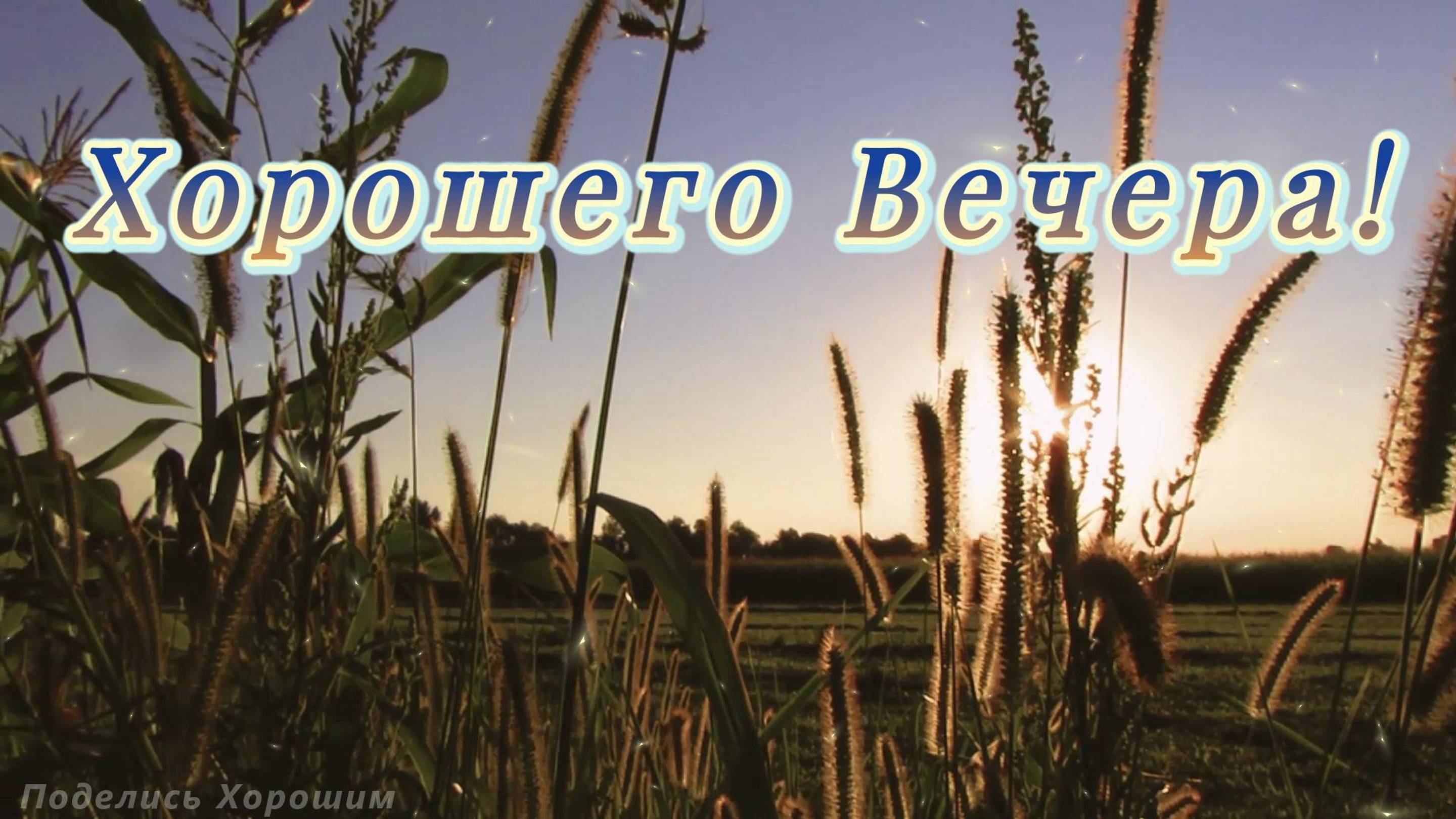 Хорошего Вечера!