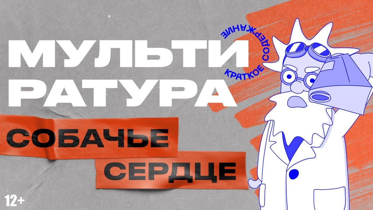 Мультиратура - Собачье сердце - Булгаков (краткий пересказ)