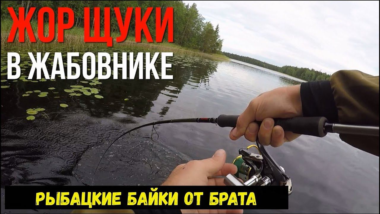 Неогруженный силикон решает | Жор Щуки в ЖАБОВНИКЕ | Рыбалка на спиннинг и самоловки | Часть 2