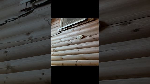 Гараж. Подвал и устройство вентиляции.