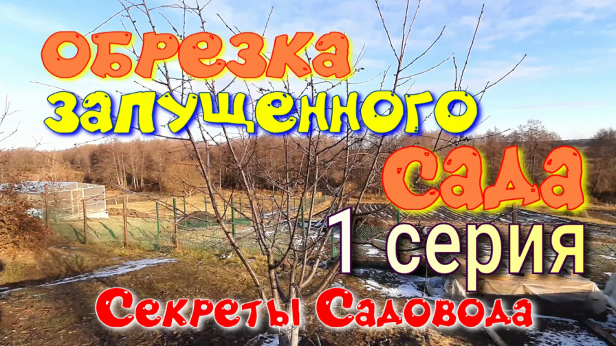 Правильная Осенняя ПОДРЕЗКА Заброшенного Сада. 1 Серия. Секреты САДОВОДА. Фильм 4