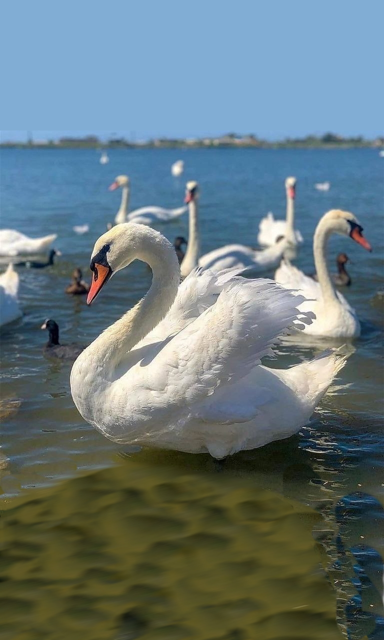 💕🌞🌿 С добрым утром, днём!