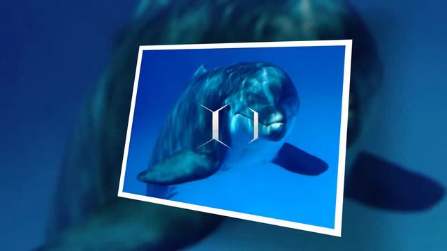 дефильны 2019 года