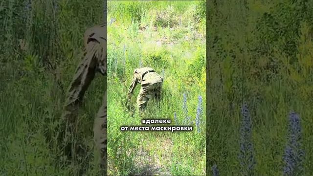 Совет по маскировке позиции