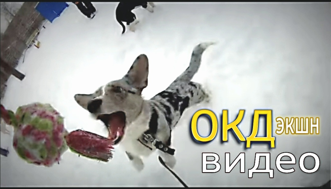 ОКДэкшн видео