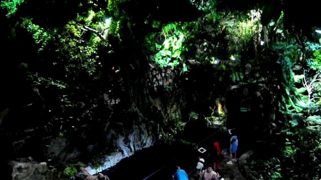 ВОДОПАД во ВЛАДИВОСТОКСКОМ ОКЕАНАРИУМЕ