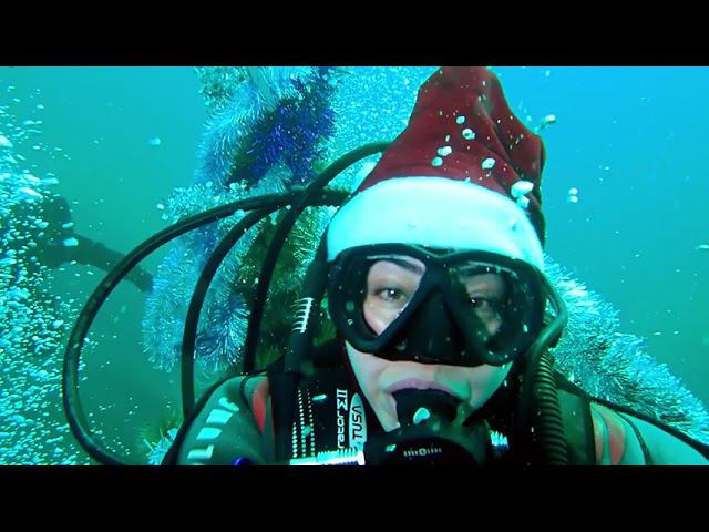 Дайверская Аква-Ёлка 2022