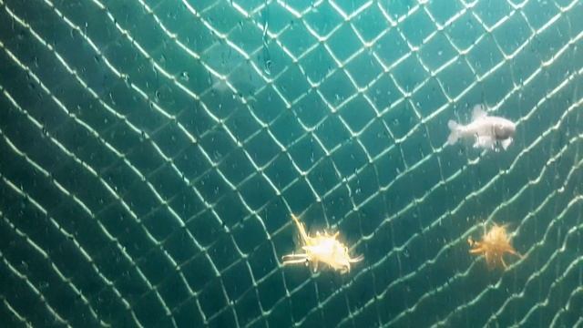 5 часть Тальцы Листвянка Прощание