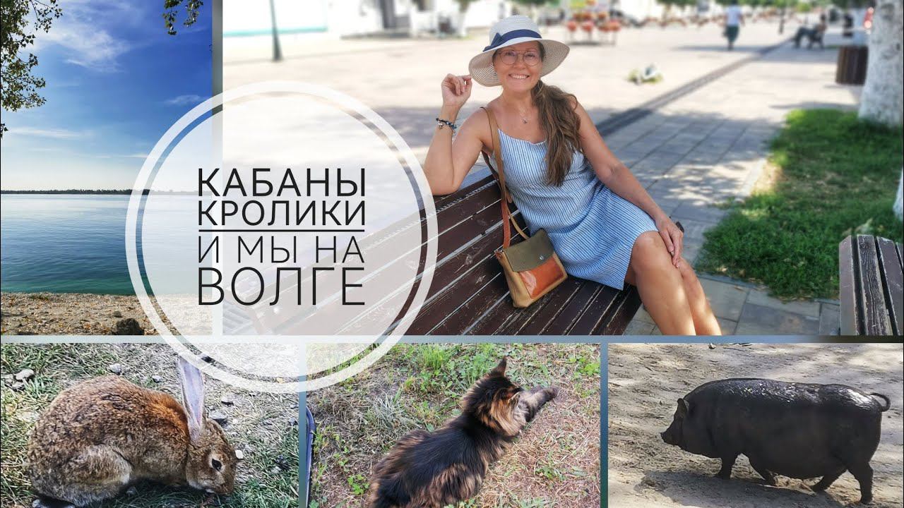 Серия 11. Басмач освоился на Волге))