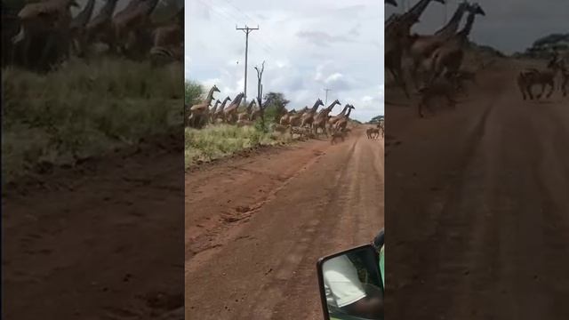 VID_20221228_193405_745.mp4